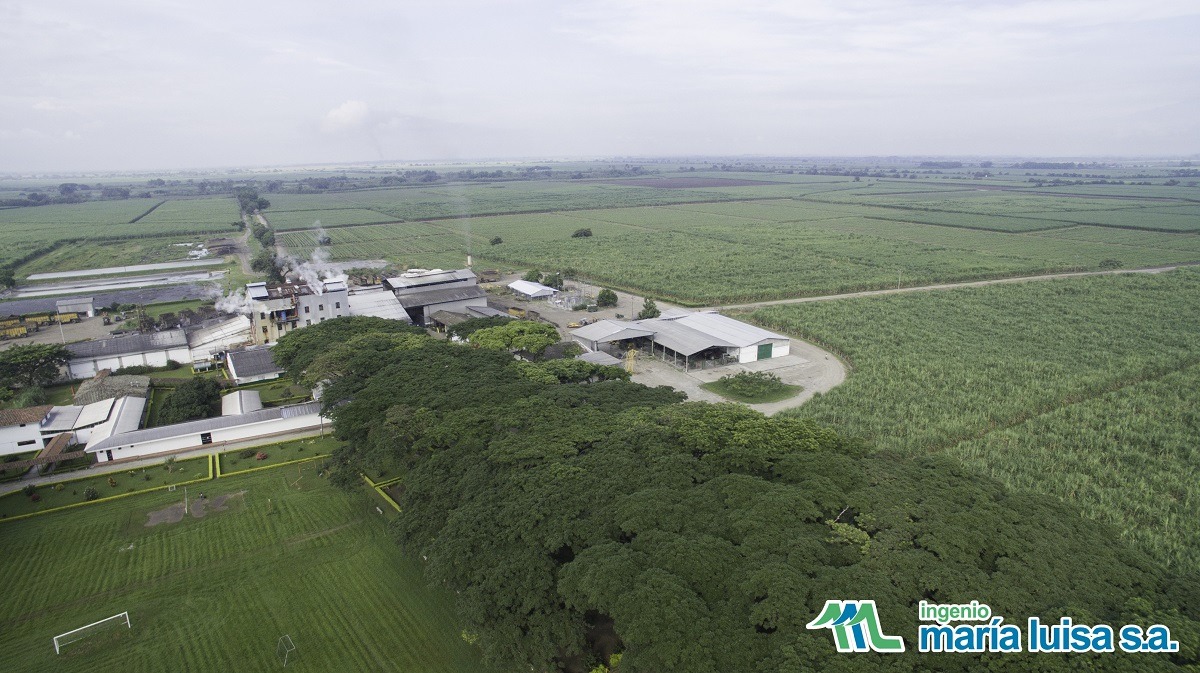 INGENIO MARIA LUISA - Nos estamos transformando